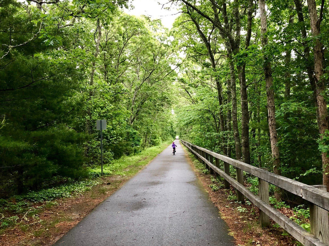 2025年2月Cape Cod Rail Trail景点攻略-Cape Cod Rail Trail门票预订|地址|图片-Cape Cod ...