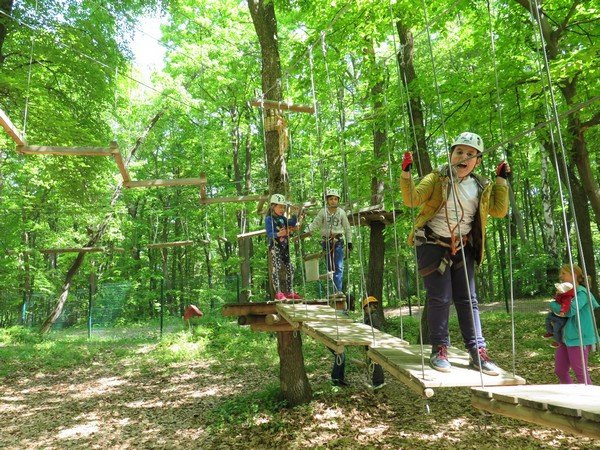 2024年3月Casele Micesti旅游景点攻略-Casele Micesti旅游住宿,-Casele Micesti旅游美食-猫途鹰