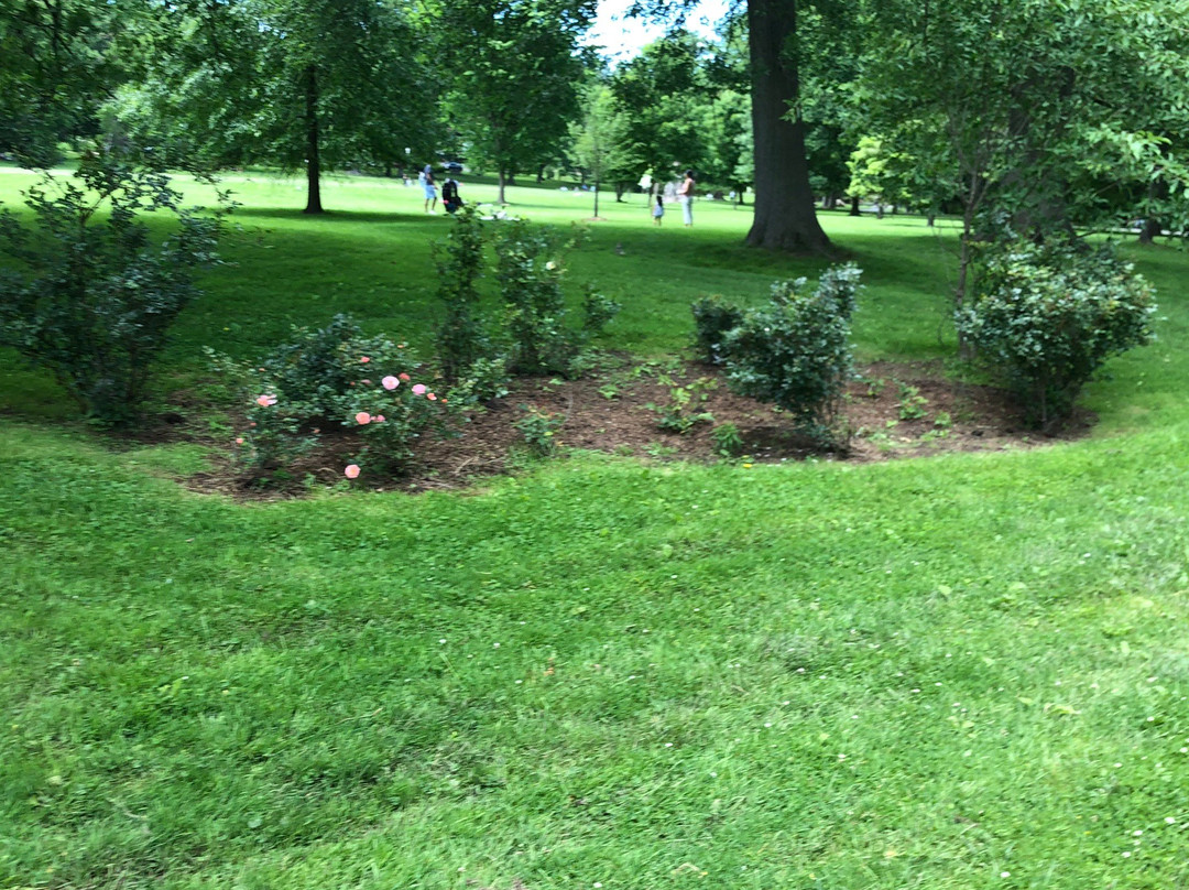 2025年10月Upper Montclair旅游景点攻略-Upper Montclair旅游住宿,-Upper Montclair旅游美食-猫途鹰