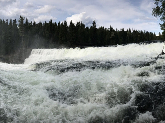 2023年11月Dawson Falls景点攻略-Dawson Falls门票预订|地址|图片-Dawson Falls景点点评-猫途鹰