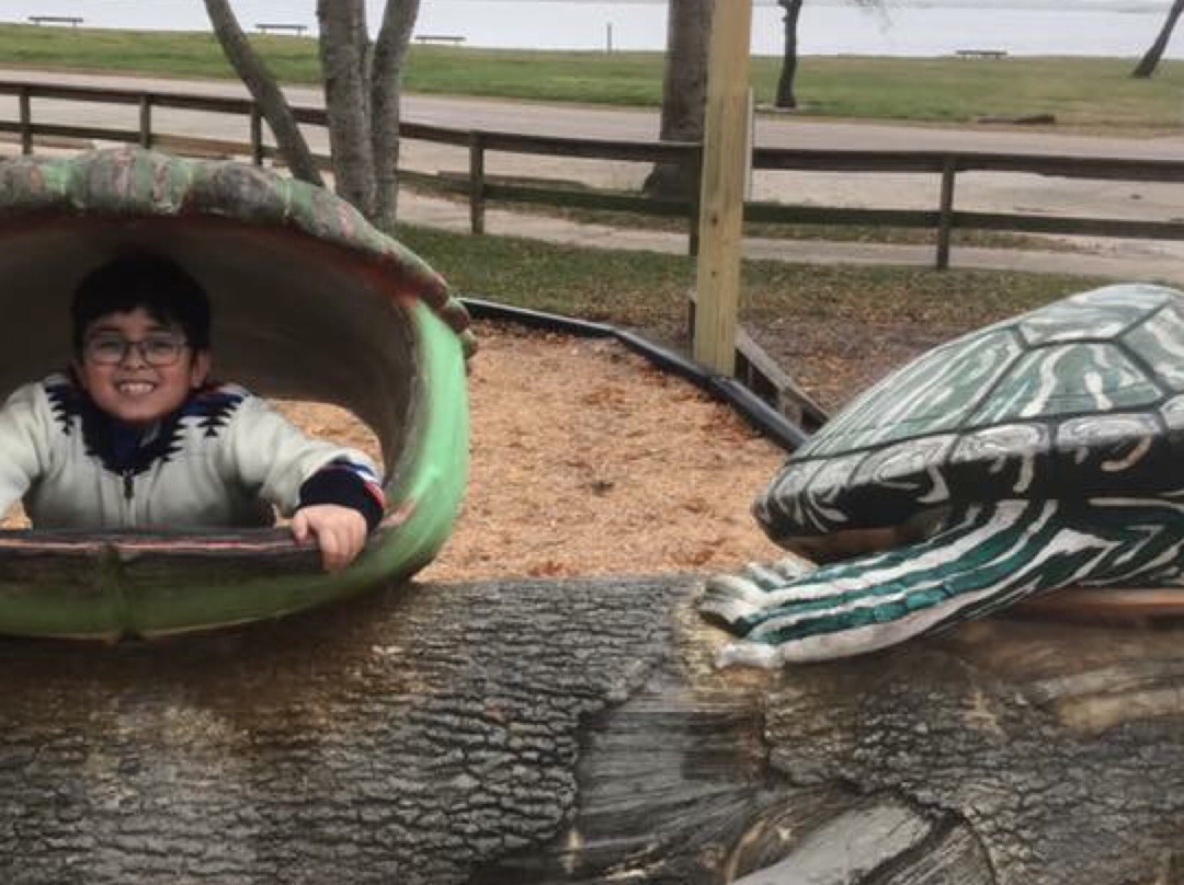 2025年1月Baytown Nature Center景点攻略-Baytown Nature Center门票预订|地址|图片 ...