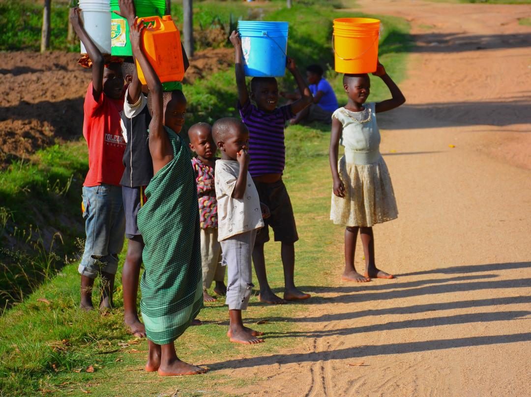 2024年10月Nansio旅游景点攻略-Nansio旅游住宿,-Nansio旅游美食-猫途鹰