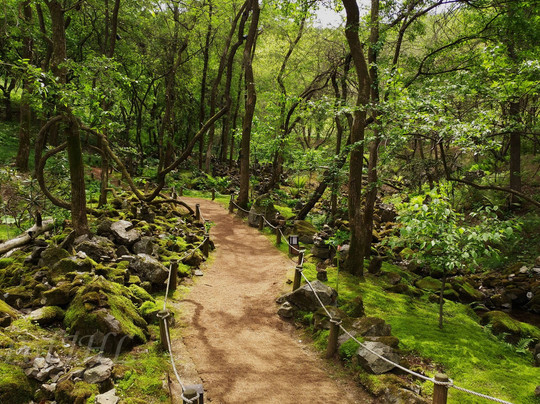 2023年11月Jade Garden Natural Arboretum景点攻略-Jade Garden Natural Arboretum ...