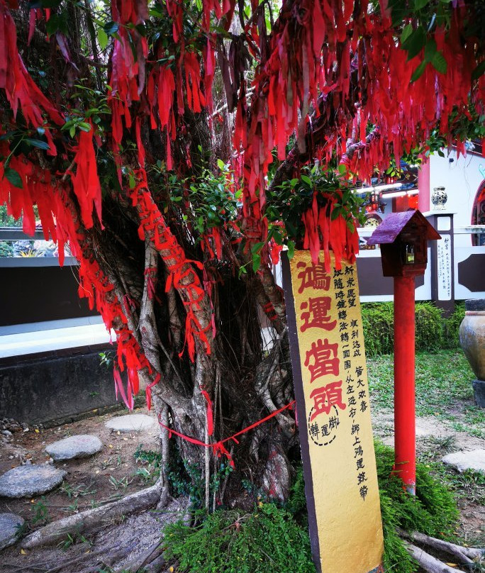 2024年1月Foo Lin Kong Temple景点攻略-Foo Lin Kong Temple门票预订|地址|图片-Foo Lin ...