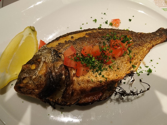 2025年2月Loire-sur-Rhone旅游景点攻略-Loire-sur-Rhone旅游住宿,-Loire-sur-Rhone旅游美食-猫途鹰