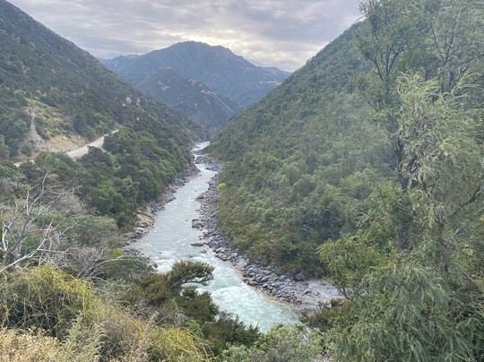 2023年12月Lake Sumner Forest Park景点攻略-Lake Sumner Forest Park门票预订|地址|图片 ...