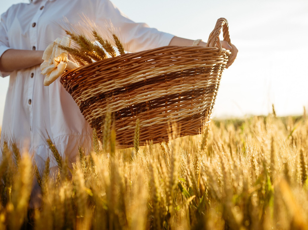 2025年9月Mala Polana旅游景点攻略-Mala Polana旅游住宿,-Mala Polana旅游美食-猫途鹰