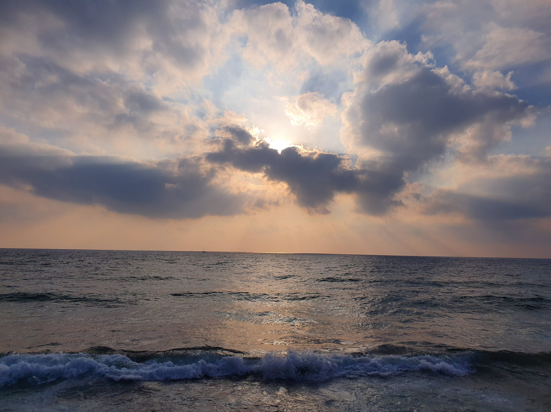 2024年7月Old Tel Aviv Port Area景点攻略-Old Tel Aviv Port Area门票预订|地址|图片-Old ...