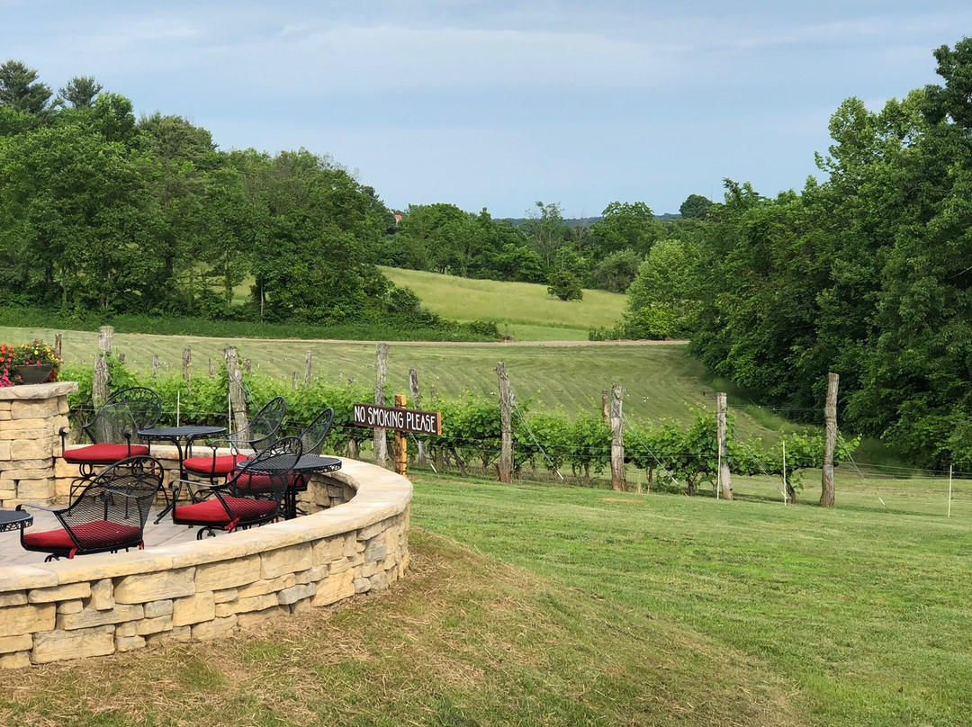 2024年4月Shade Winery景点攻略-Shade Winery门票预订|地址|图片-Shade Winery景点点评-猫途鹰