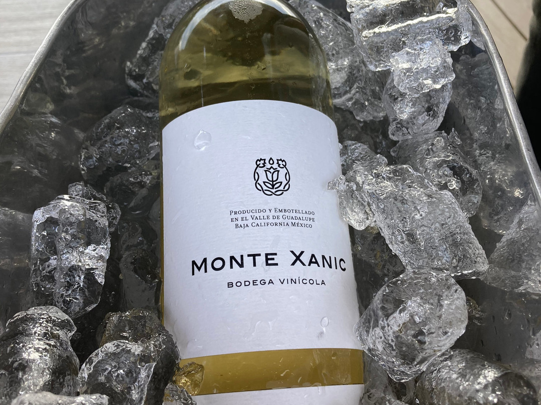 2023年12月Monte Xanic景点攻略-Monte Xanic门票预订|地址|图片-Monte Xanic景点点评-猫途鹰