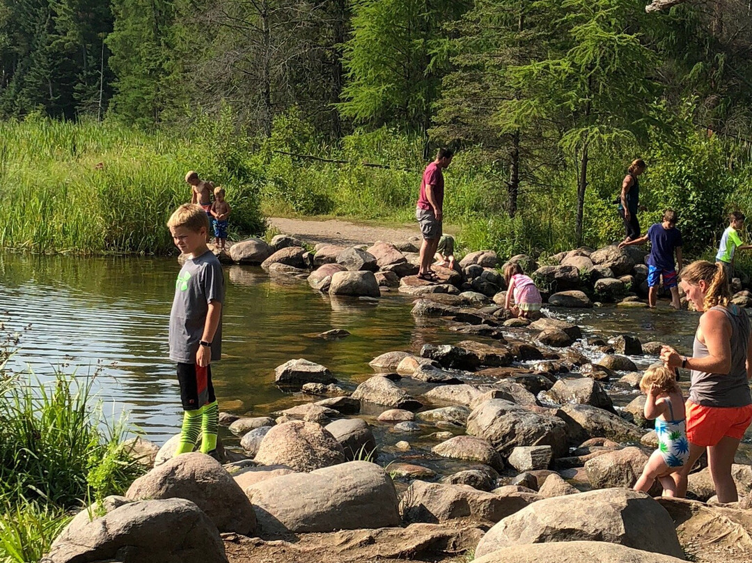 2025年7月Lake Itasca景点攻略-Lake Itasca门票预订|地址|图片-Lake Itasca景点点评-猫途鹰
