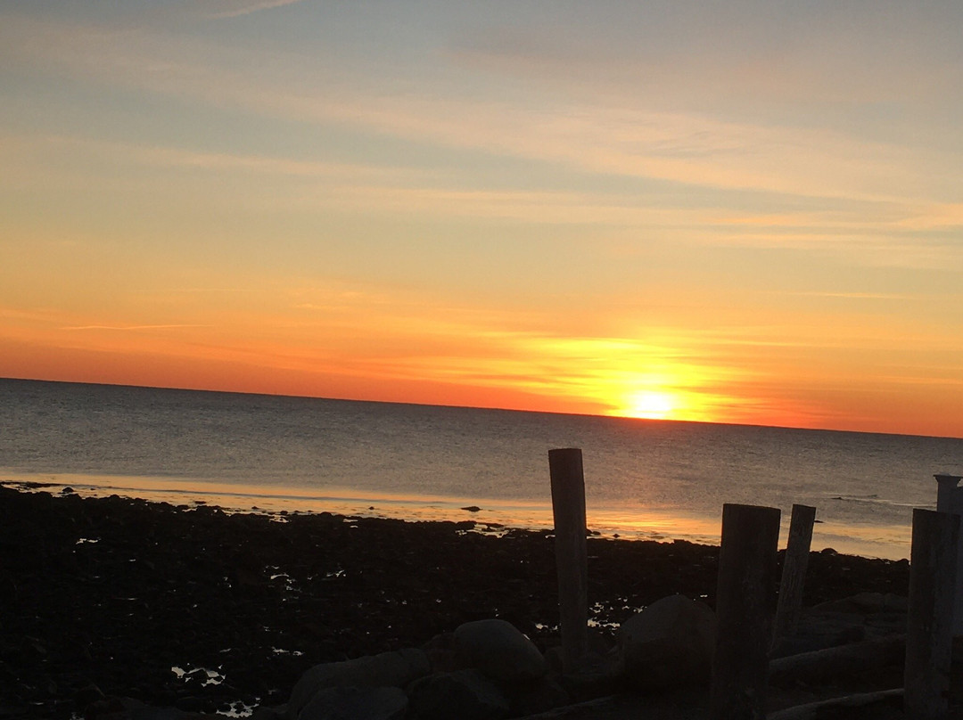 2023年12月Brant Rock Beach景点攻略-Brant Rock Beach门票预订|地址|图片-Brant Rock ...