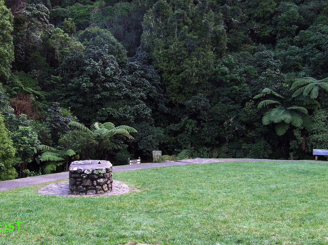 2024年9月Otari-Wilton's Bush Native Botanic Garden景点攻略-Otari-Wilton's ...