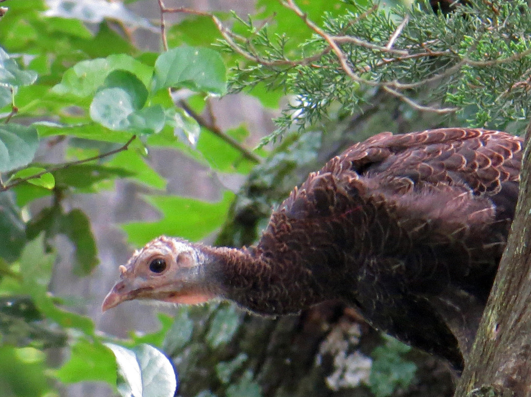 2023年12月Natirar Park景点攻略-Natirar Park门票预订|地址|图片-Natirar Park景点点评-猫途鹰