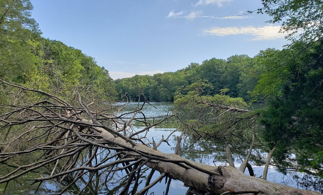2024年11月Harrison Bay State Park景点攻略-Harrison Bay State Park门票预订|地址|图片 ...