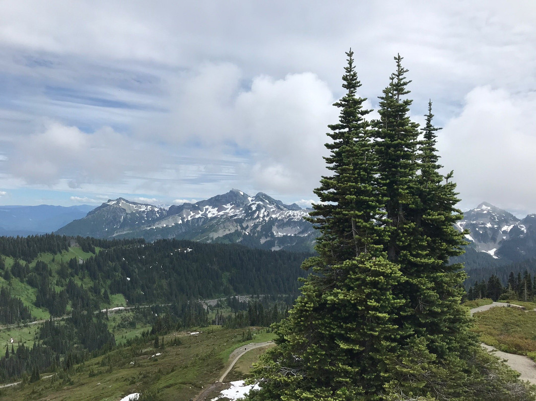 2024年9月Paradise Loop景点攻略-Paradise Loop门票预订|地址|图片-Paradise Loop景点点评-猫途鹰