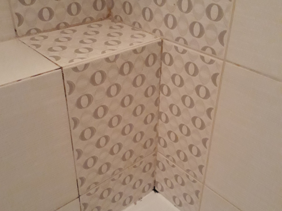 2024年11月Nizna旅游景点攻略-Nizna旅游住宿,-Nizna旅游美食-猫途鹰