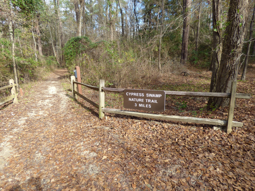 2025年2月Colleton State Park景点攻略-Colleton State Park门票预订|地址|图片-Colleton ...