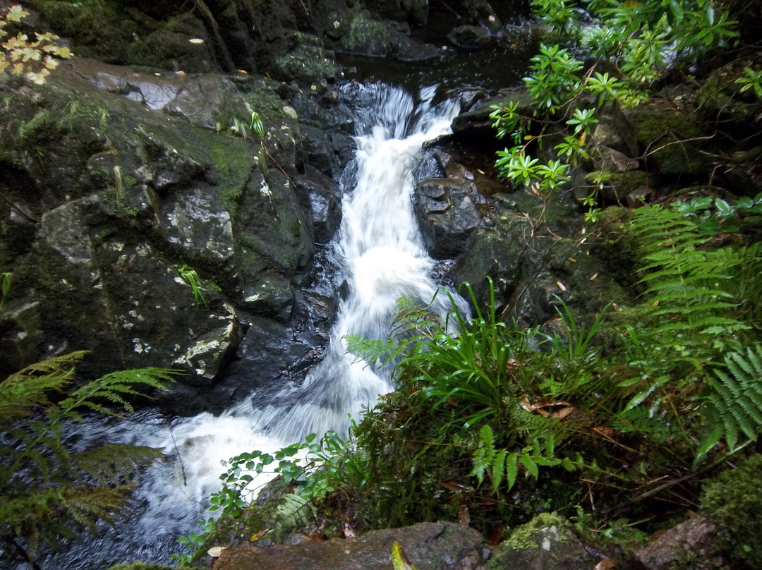 2023年11月Stanley Ghyll Force Waterfall景点攻略-Stanley Ghyll Force Waterfall ...