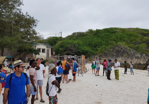 2025年3月Watamu National Marine Park景点攻略-Watamu National Marine Park门票预订 ...