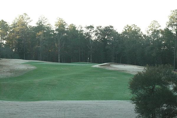 2025年12月Mossy Head旅游景点攻略-Mossy Head旅游住宿,-Mossy Head旅游美食-猫途鹰