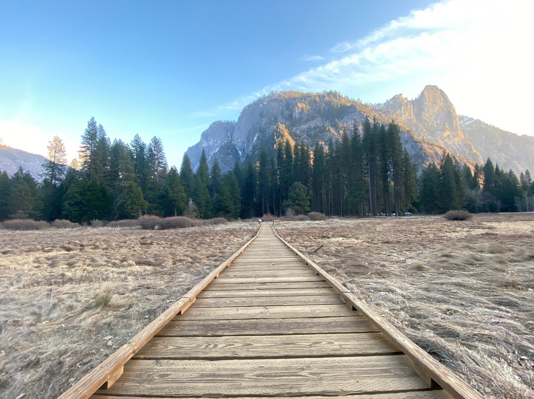 2023年12月Cooks Meadow Loop景点攻略-Cooks Meadow Loop门票预订|地址|图片-Cooks Meadow ...