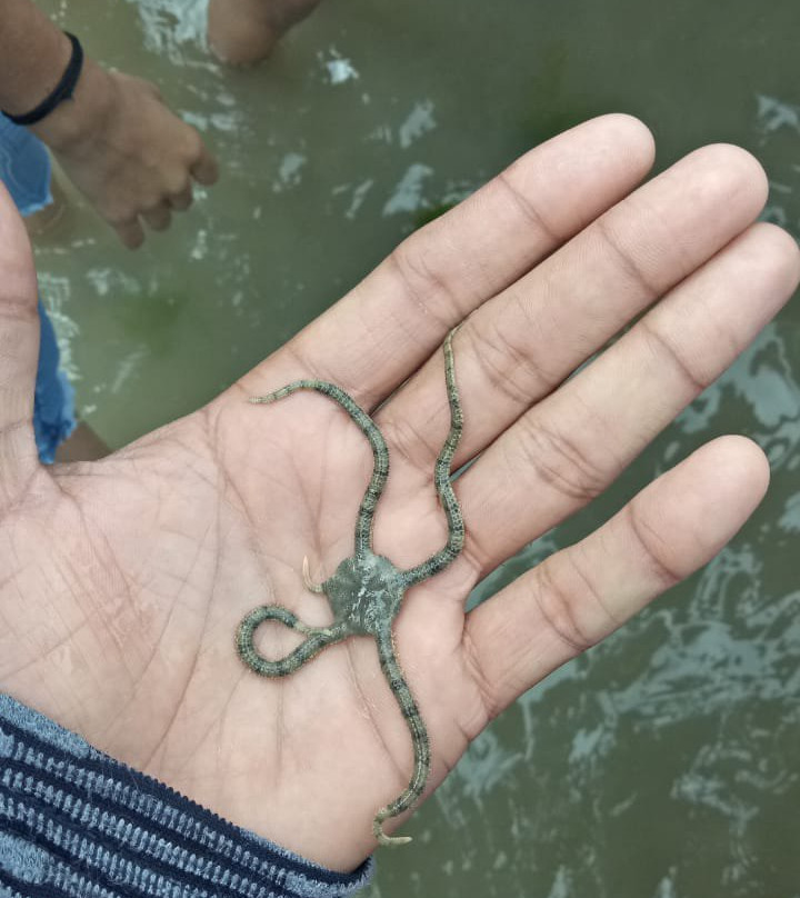 2023年12月Narara Marine National Park景点攻略-Narara Marine National Park门票预订 ...