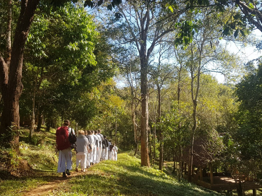 2024年11月Pa Pae Meditation Retreat景点攻略-Pa Pae Meditation Retreat门票预订|地址 ...