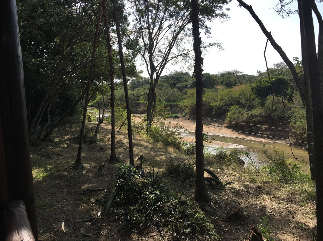 Mara Simba Lodge (Mara Simba) - Mara Simba Lodge - 酒店预订 /预定 - 606条旅客点评与 ...