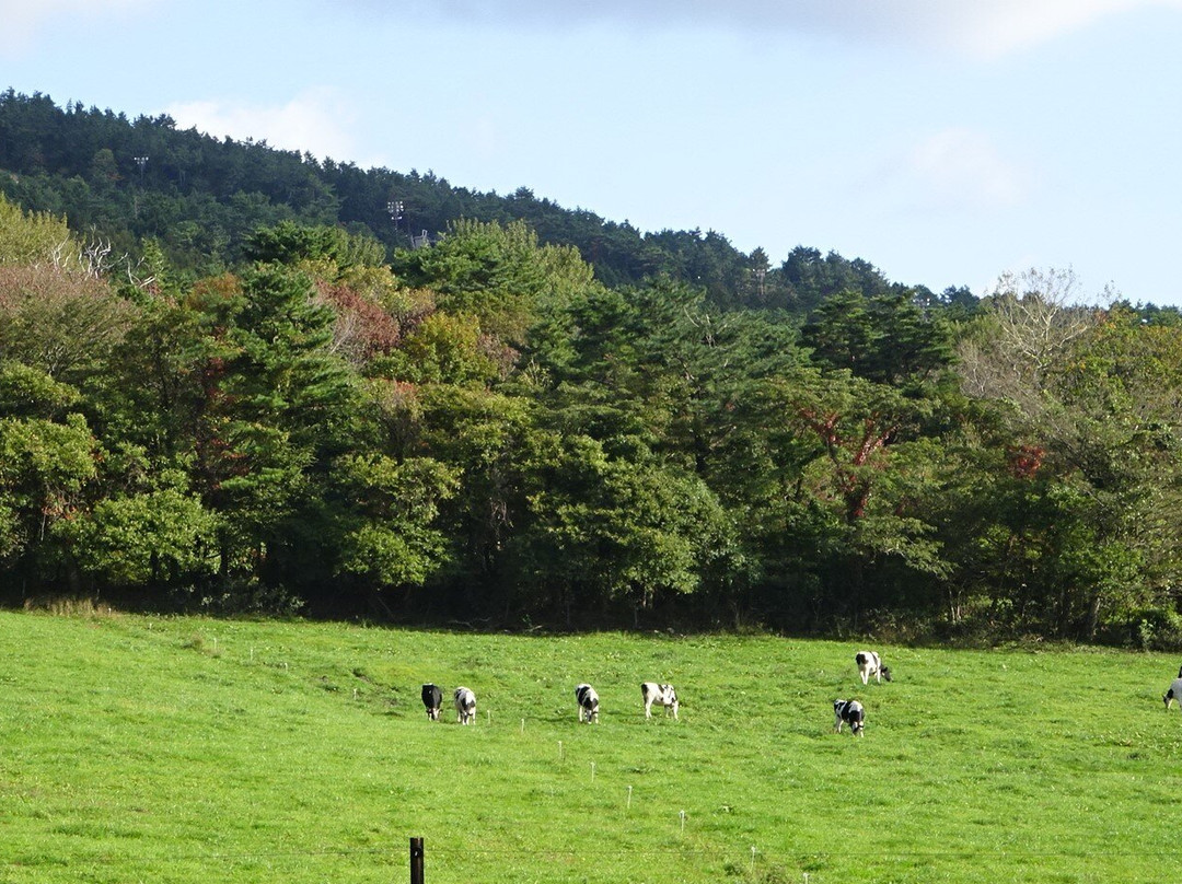 2024年2月Daisen Makiba Milk no Sato景点攻略-Daisen Makiba Milk no Sato门票预订|地址 ...