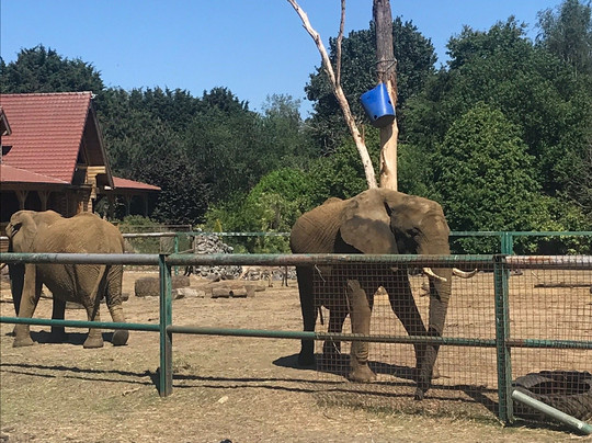 2024年10月Pakawi Park景点攻略-Pakawi Park门票预订|地址|图片-Pakawi Park景点点评-猫途鹰