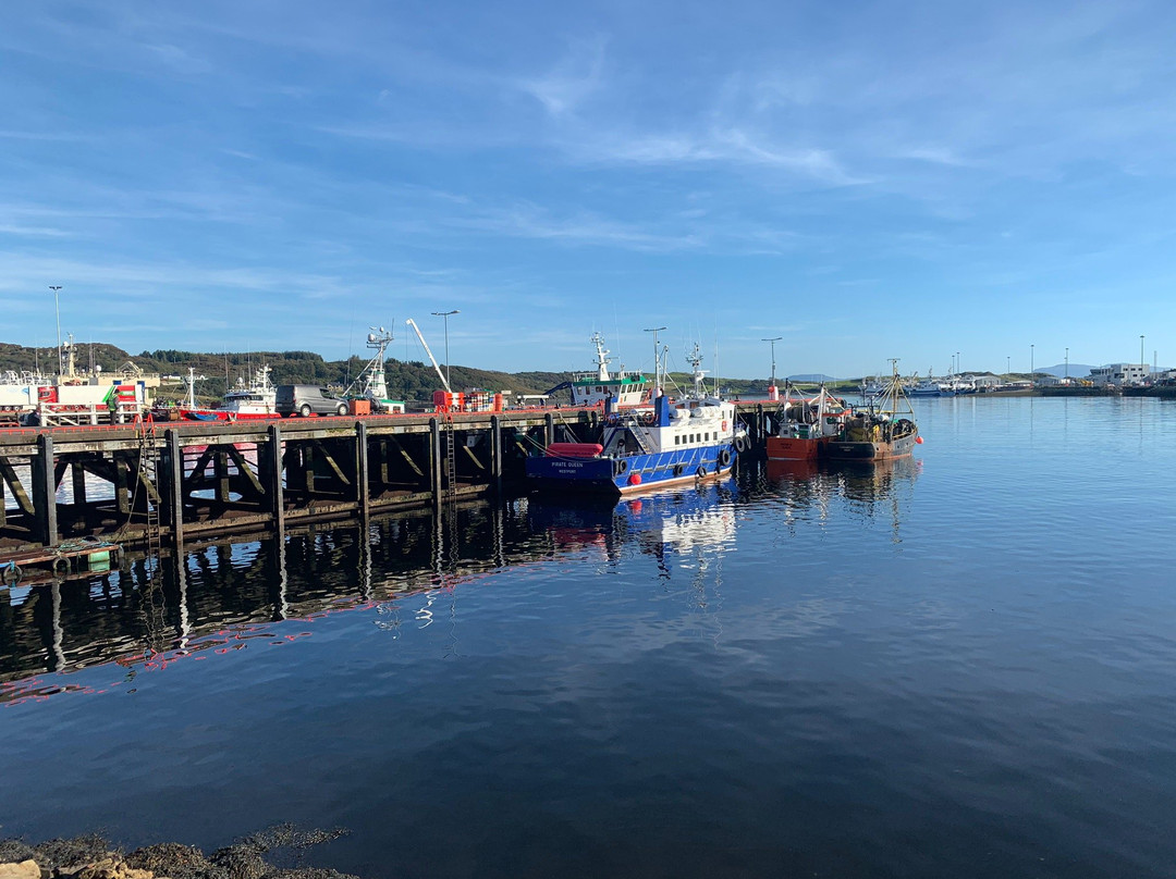 2024年12月Donegal Bay Waterbus景点攻略-Donegal Bay Waterbus门票预订|地址|图片-Donegal ...
