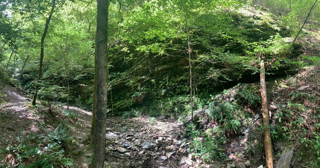 2024年9月Beavers Bend State Park and Nature Center景点攻略-Beavers Bend State ...