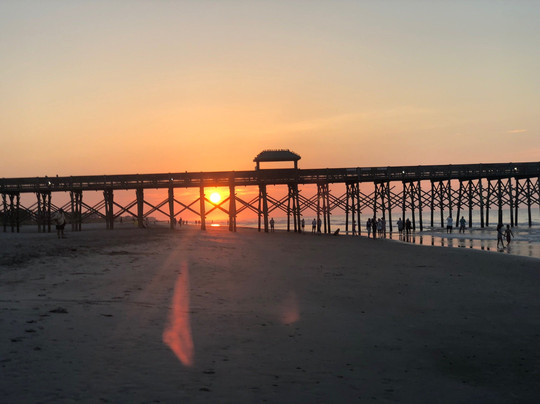 2024年10月Folly Beach Public Beach景点攻略-Folly Beach Public Beach门票预订|地址|图片 ...