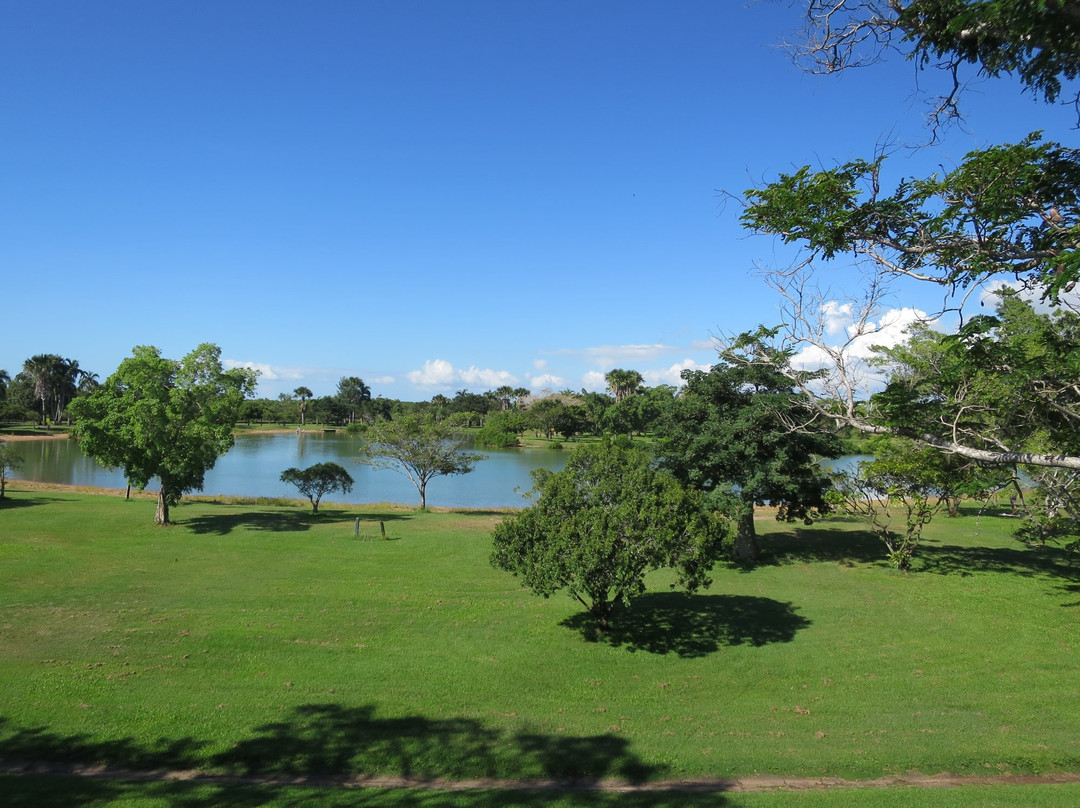 2025年10月Lake Alexander景点攻略-Lake Alexander门票预订|地址|图片-Lake Alexander景点点评-猫途鹰