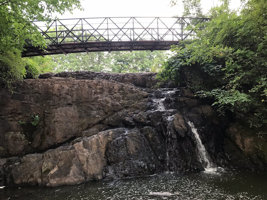 2023年12月Mill Pond Park景点攻略-Mill Pond Park门票预订|地址|图片-Mill Pond Park景点点评-猫途鹰