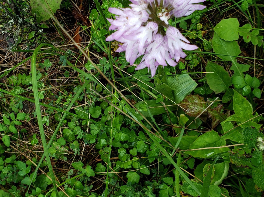 2025年2月Catalkoy景点攻略-Catalkoy旅游必去景点-Catalkoy景点大全-猫途鹰