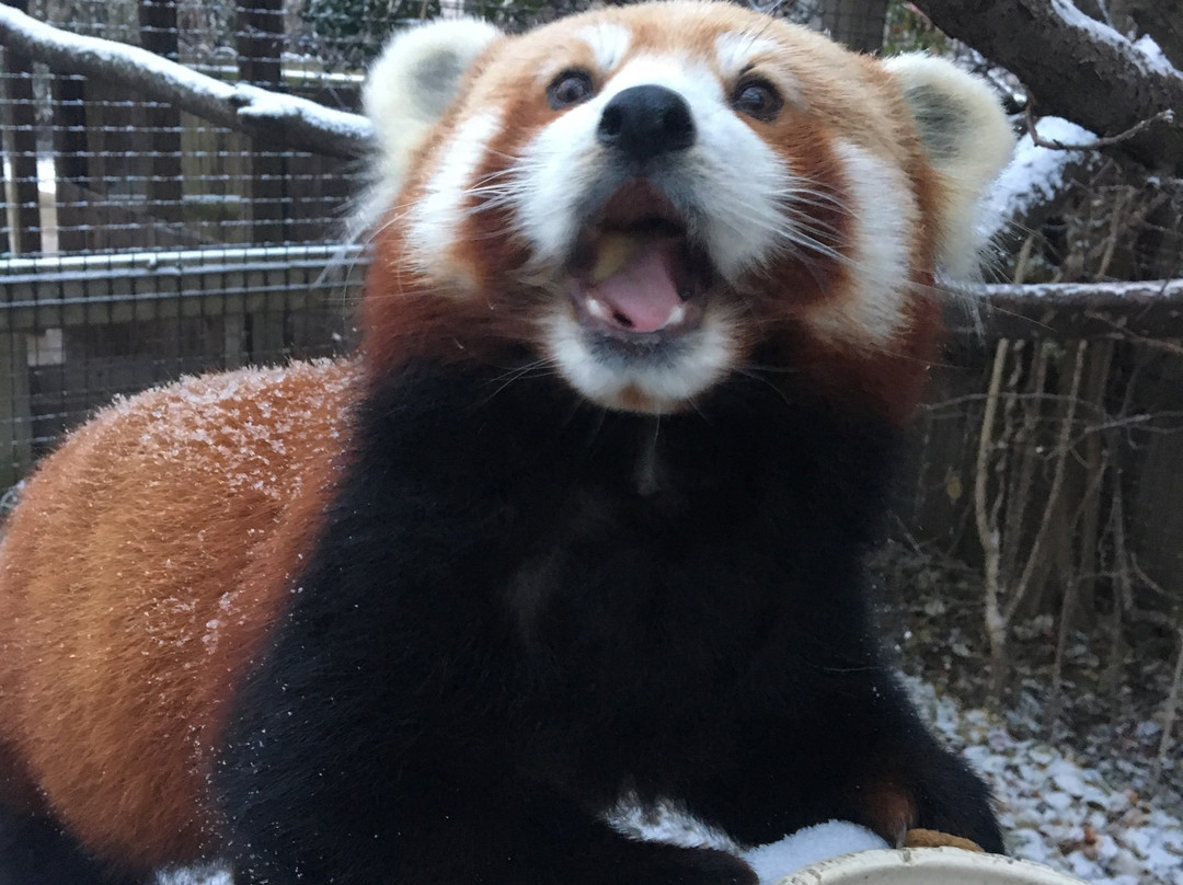 2025年1月Miller Park Zoo景点攻略-Miller Park Zoo门票预订|地址|图片-Miller Park Zoo景点 ...