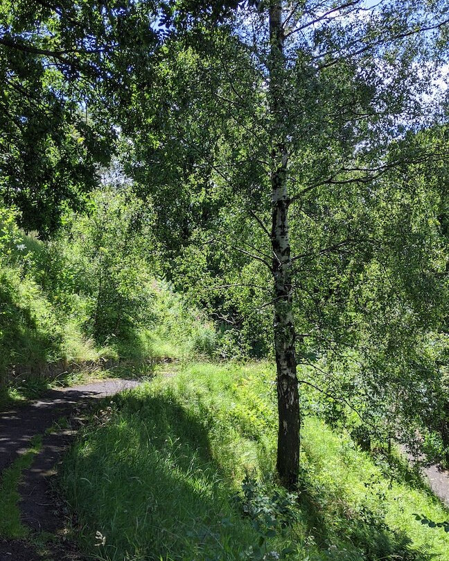 2023年12月The Kay Park景点攻略-The Kay Park门票预订|地址|图片-The Kay Park景点点评-猫途鹰