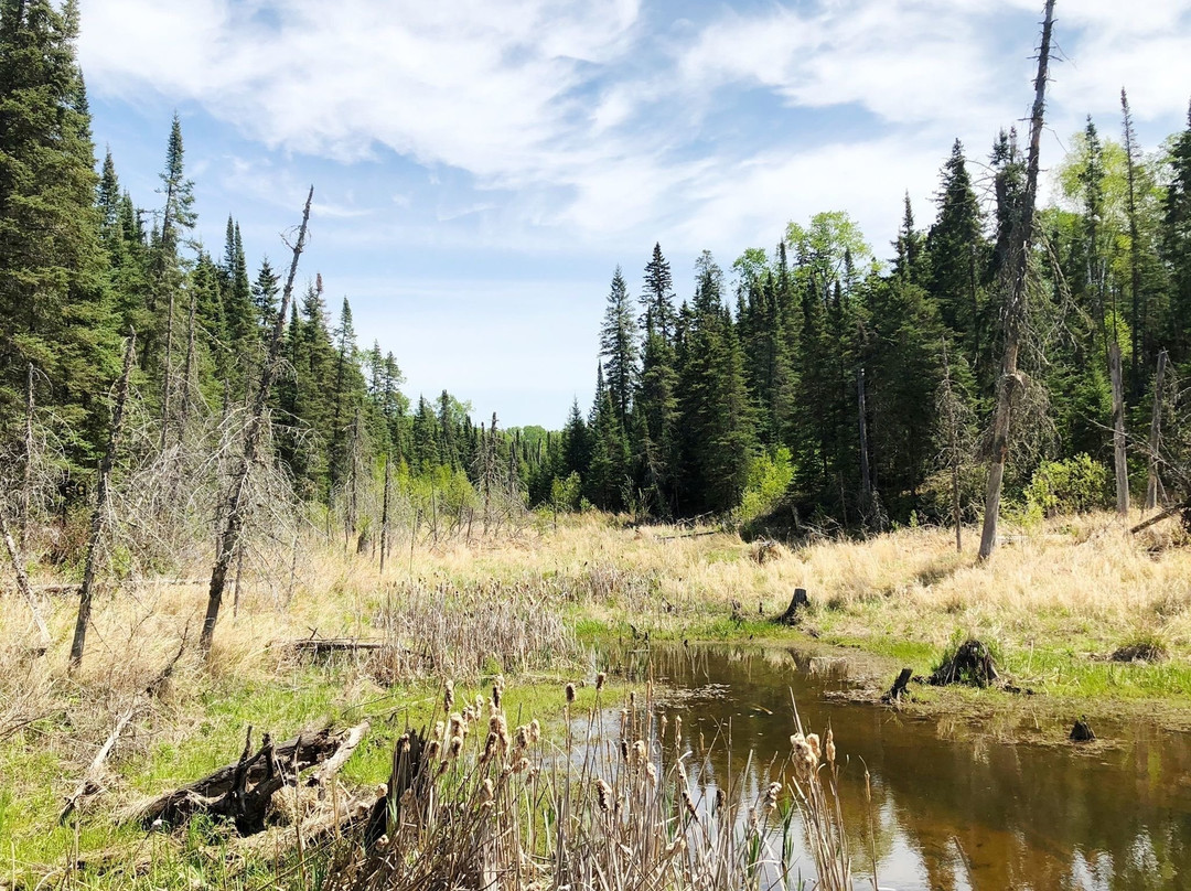 2024年10月Whiteshell Provincial Park景点攻略-Whiteshell Provincial Park门票预订 ...