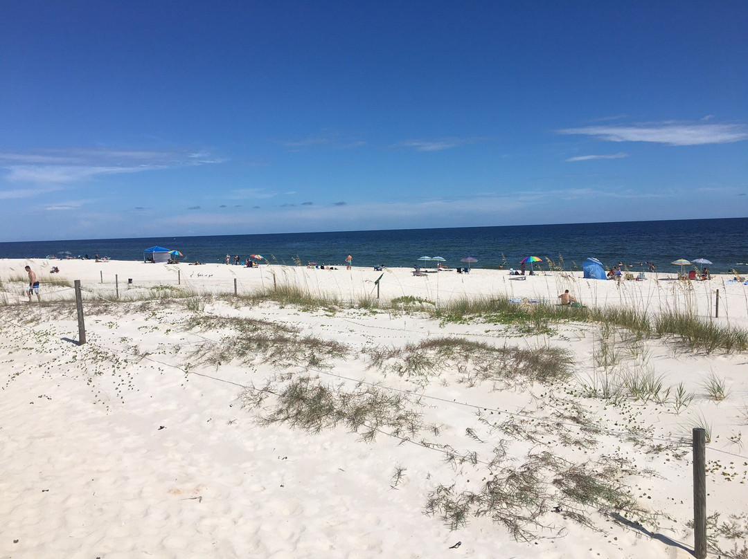 2024年3月Johnson Beach景点攻略-Johnson Beach门票预订|地址|图片-Johnson Beach景点点评-猫途鹰