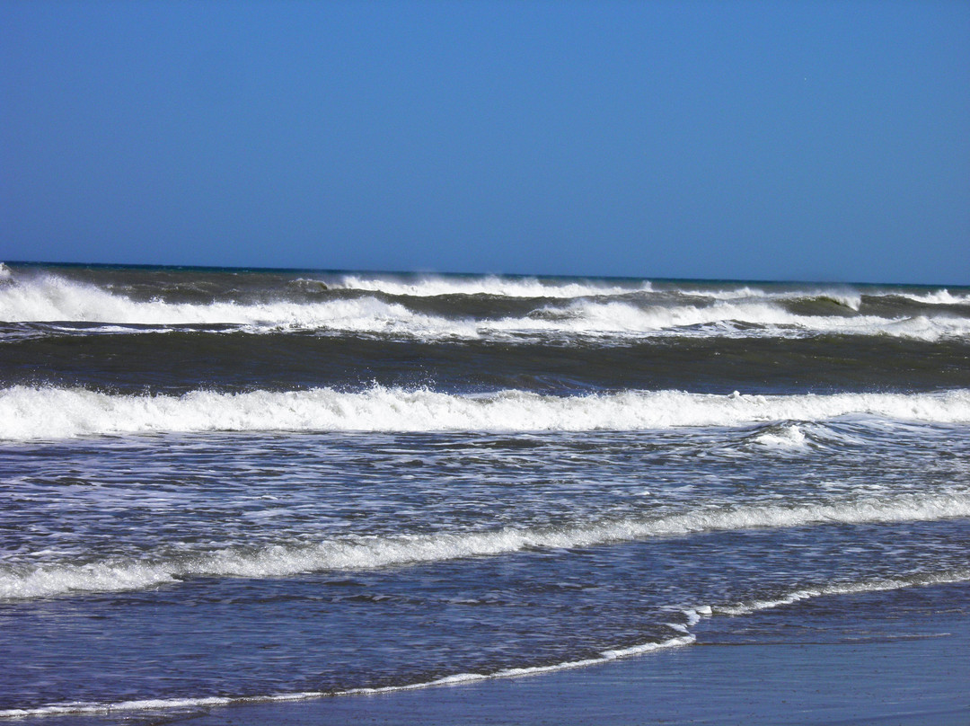 2024年9月Boca Chica State Park景点攻略-Boca Chica State Park门票预订|地址|图片-Boca ...