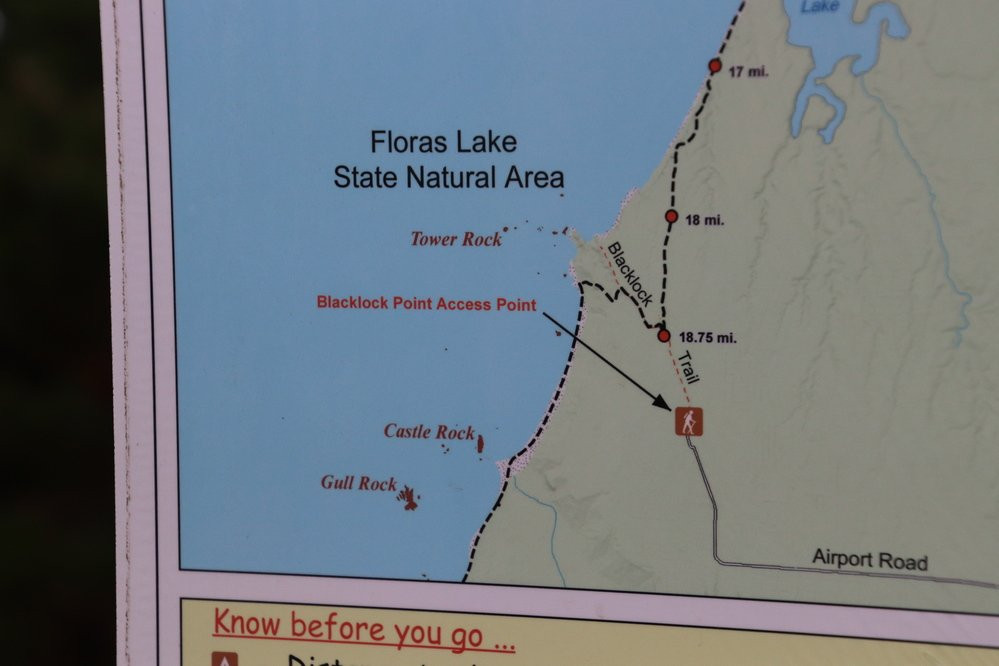 2023年12月Floras Lake Beach景点攻略-Floras Lake Beach门票预订|地址|图片-Floras Lake Beach景点点评-猫途鹰