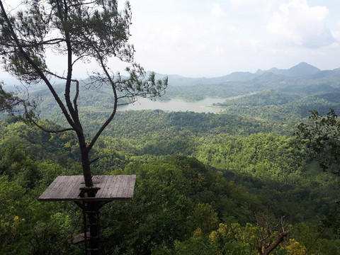 2024年11月Wisata Kalibiru景点攻略-Wisata Kalibiru门票预订|地址|图片-Wisata Kalibiru景点 ...