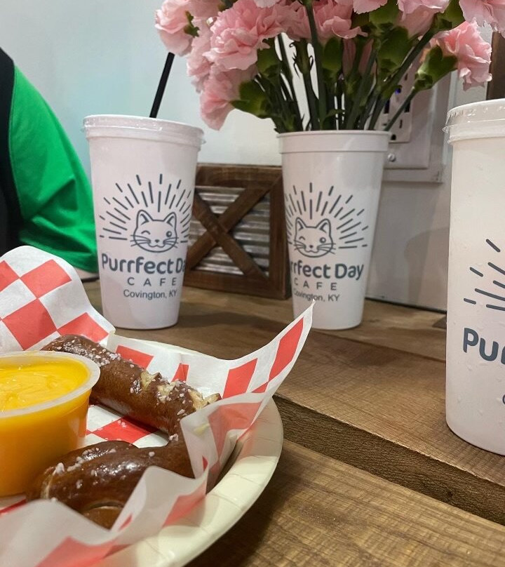 2023年11月Purrfect Day Cafe Covington景点攻略-Purrfect Day Cafe Covington门票预订 ...