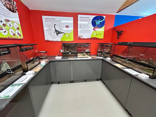 2025年2月The Bug Parc景点攻略-The Bug Parc门票预订|地址|图片-The Bug Parc景点点评-猫途鹰