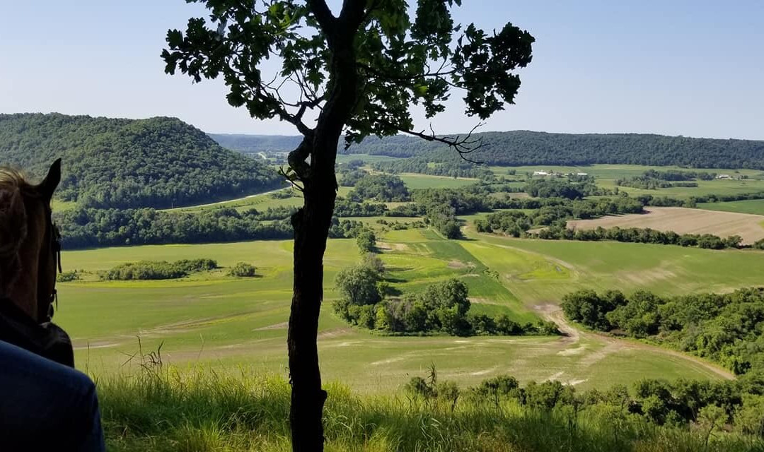 2023年12月Outback Ranch景点攻略-Outback Ranch门票预订|地址|图片-Outback Ranch景点点评-猫途鹰