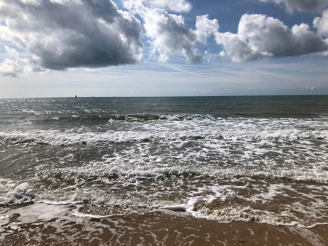 2025年3月Alum Chine Beach景点攻略-Alum Chine Beach门票预订|地址|图片-Alum Chine Beach ...