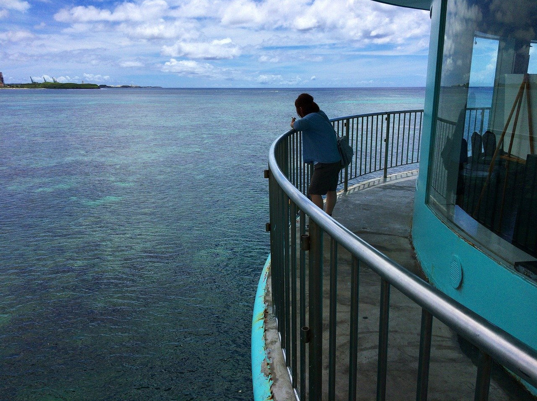 2024年7月Fish Eye Underwater Observatory景点攻略-Fish Eye Underwater ...