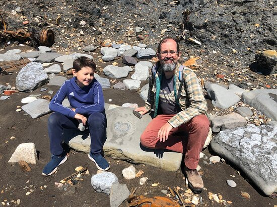 2025年1月Lyme Regis Philpot Museum景点攻略-Lyme Regis Philpot Museum门票预订|地址 ...